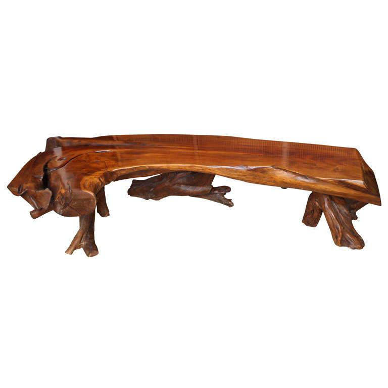 Huge Divi Divi Root Table/Bench at 1stDibs | tree root furniture for ...