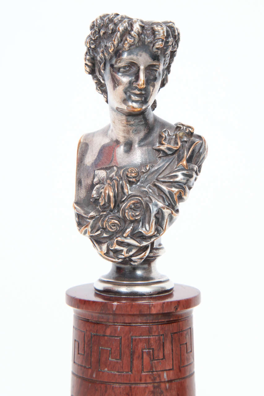Pair of Silvered Bronze and Rouge Marble Busts at 1stDibs
