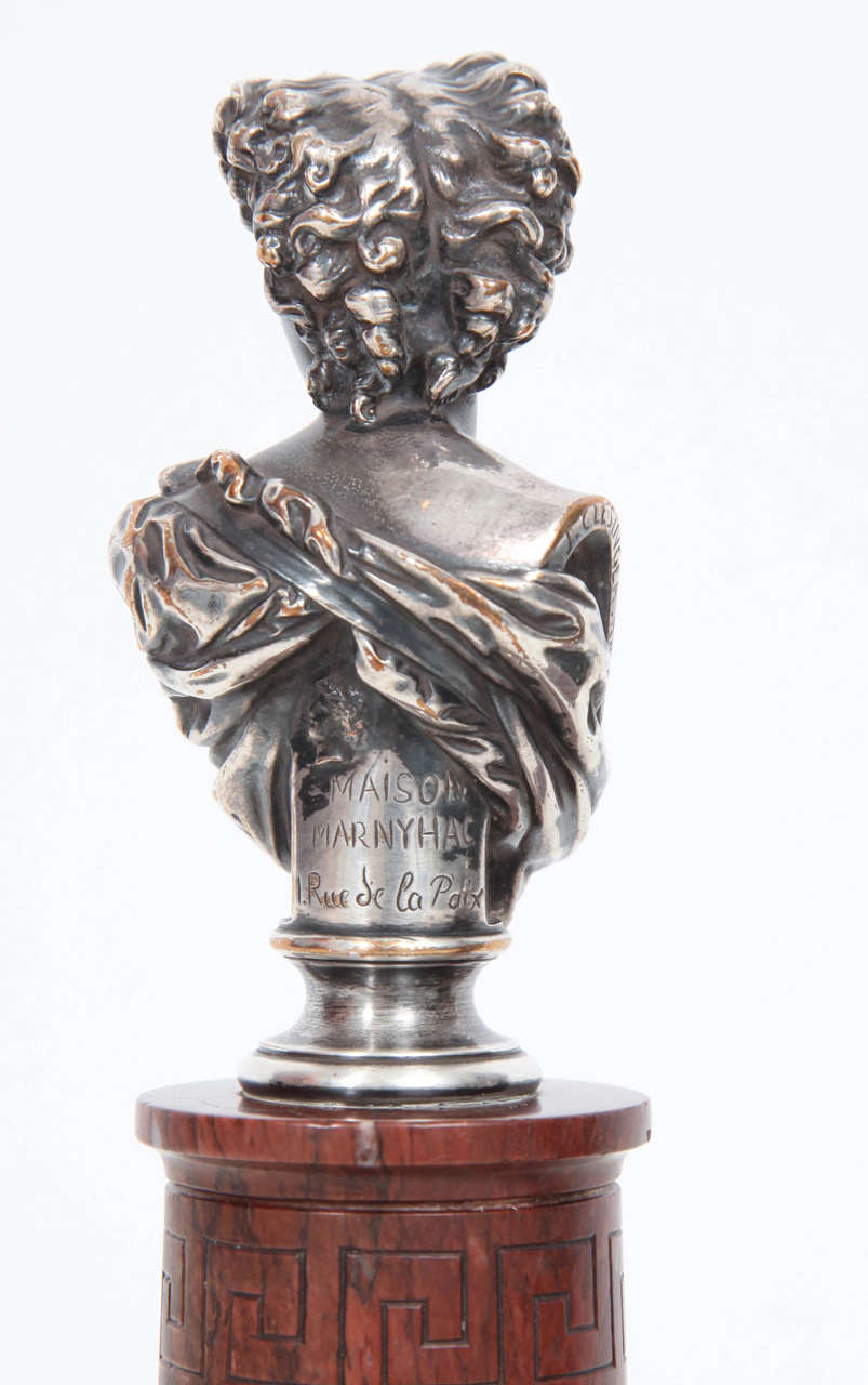 Pair of Silvered Bronze and Rouge Marble Busts at 1stDibs
