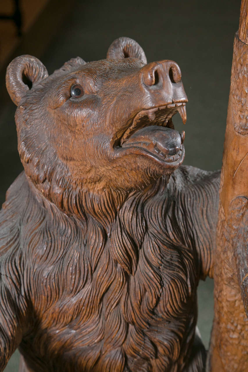 Black Forest Carved Bear Coat Rack or Umbrella Stand at 1stDibs | black ...