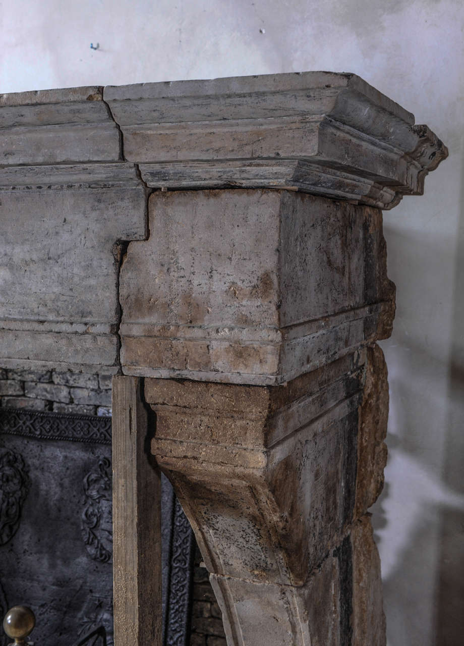 Spectacular 16th Century French Castle Fireplace from Hard French Stone ...