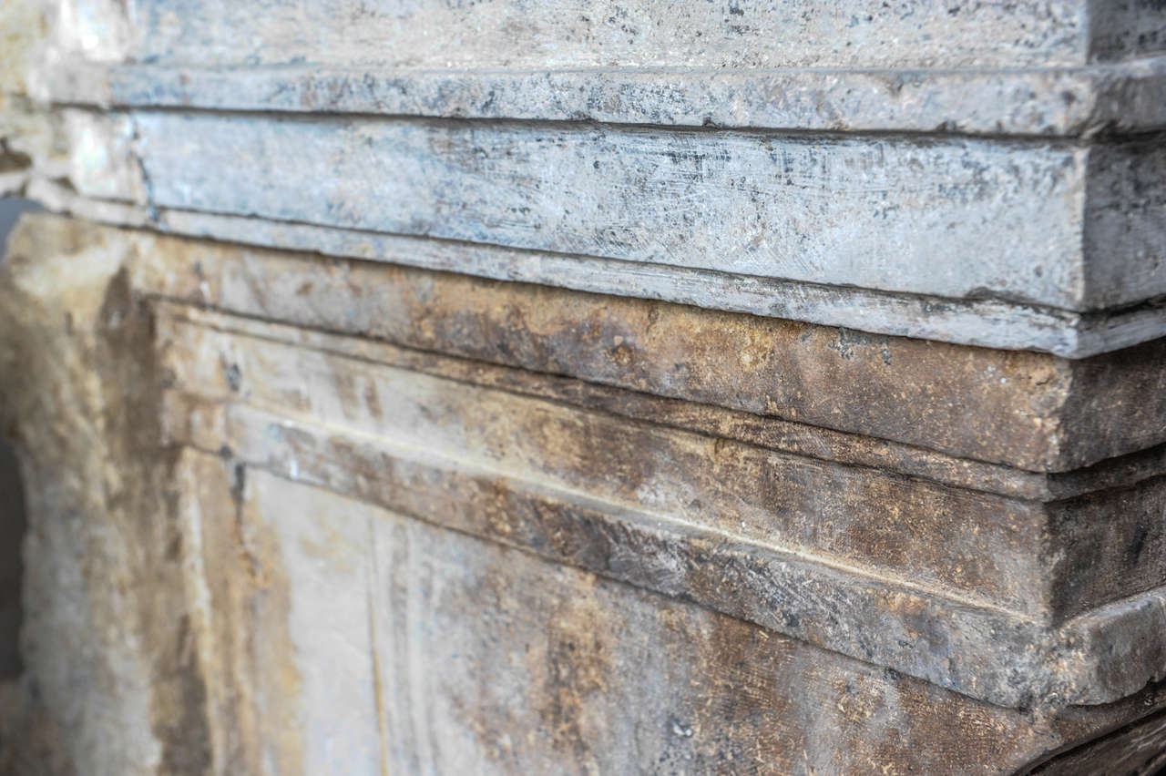 Spectacular 16th Century French Castle Fireplace from Hard French Stone ...