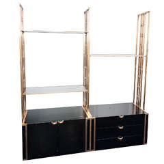 Brass Bookshelf on Black Lacquer Base at 1stDibs