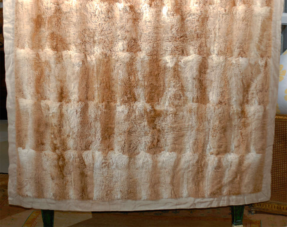 Vintage Vicuna Fur Throw/ Rug at 1stDibs | vicuna fur blanket, vicuna ...