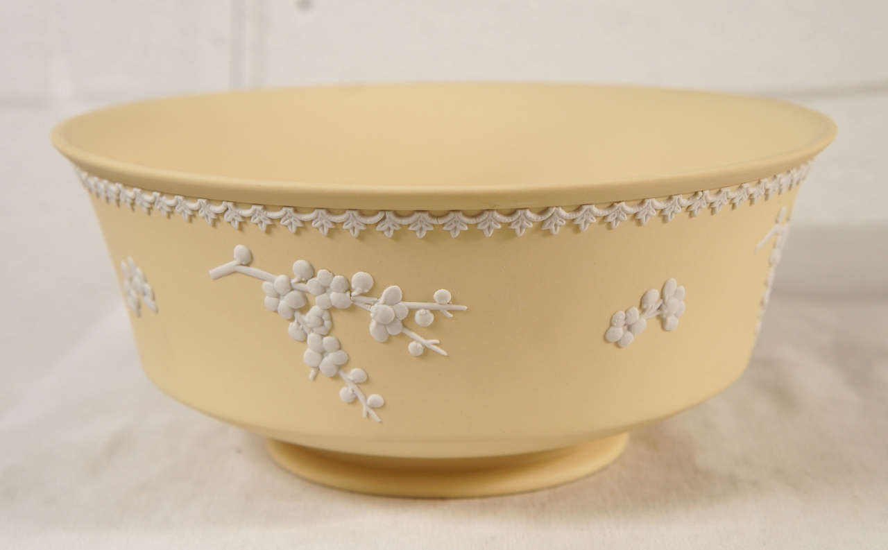 A Collection of Wedgewood at 1stDibs