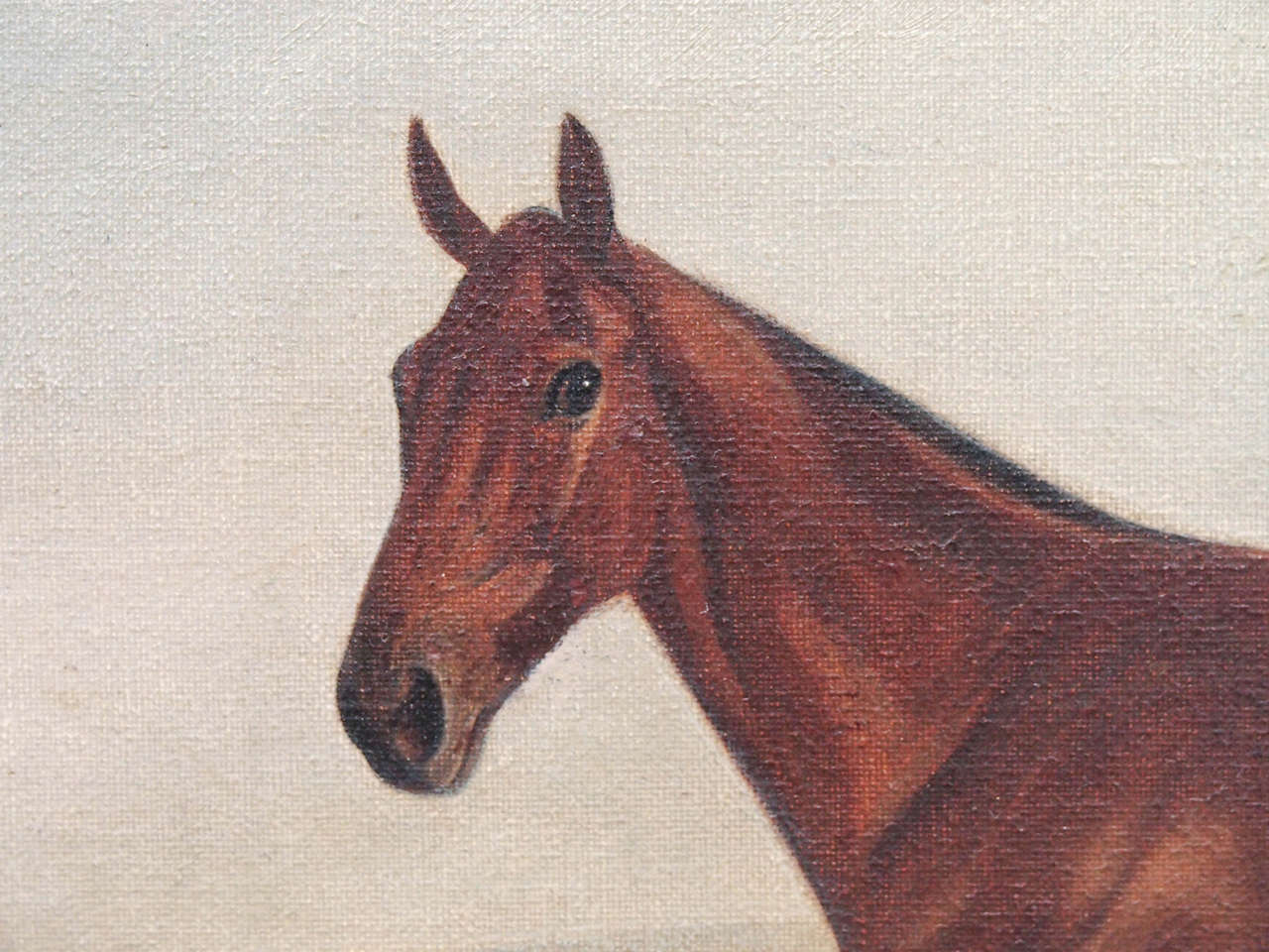 Portrait of a Bobtail Horse in Pasture, Painting at 1stDibs | bobtail ...