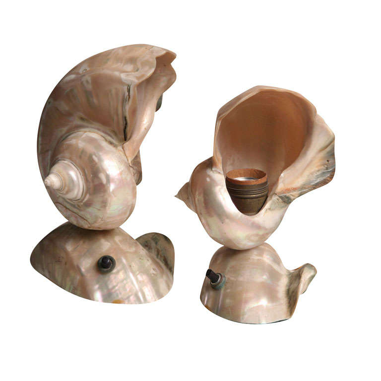 Pair of "Green Turban" Shell Desk lamps at 1stDibs