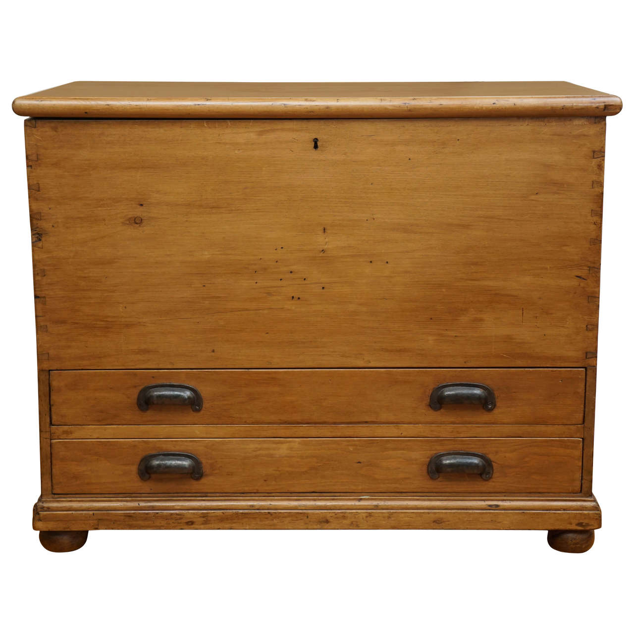 Mule Chest with Storage Lid and 2 Drawers at 1stDibs