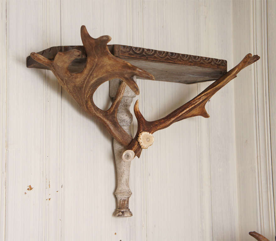 Pair of Antler Shelvles at 1stDibs