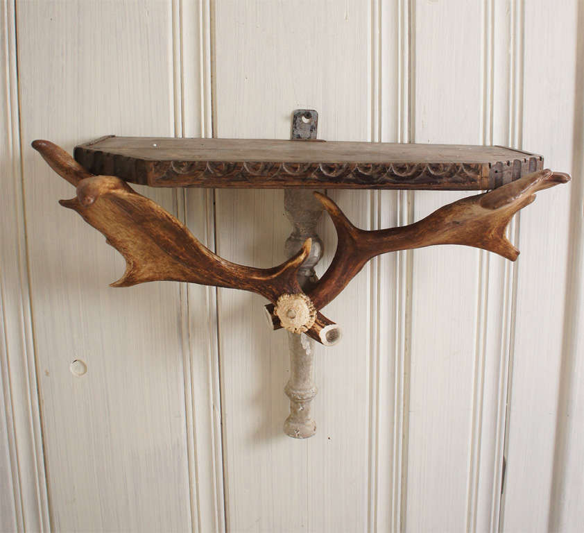 Pair of Antler Shelvles at 1stDibs