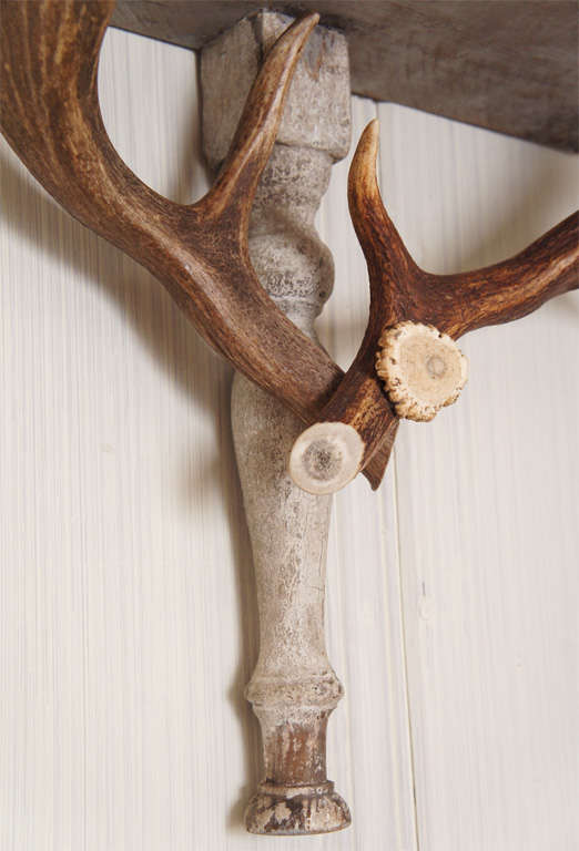 Pair of Antler Shelvles at 1stDibs