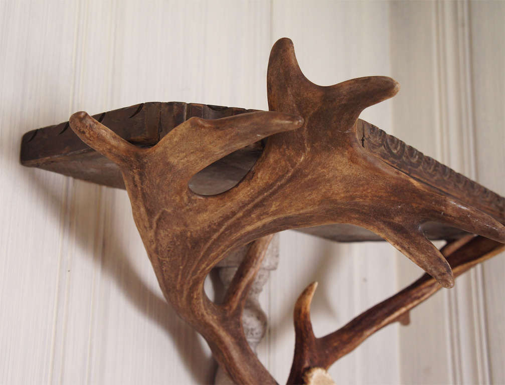 Pair of Antler Shelvles at 1stDibs
