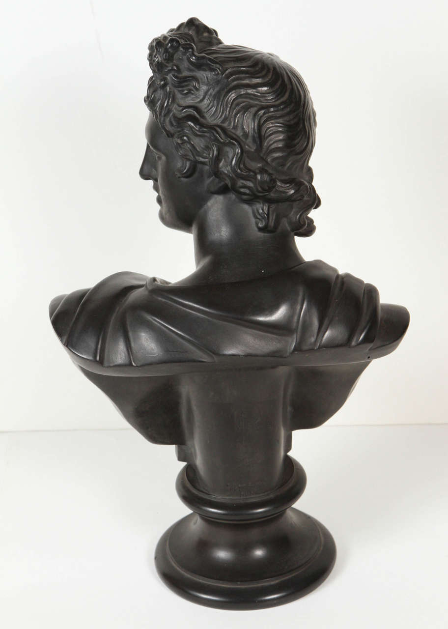 19th Century Danish Black Basalt Bust of Apollo Belvedere at 1stDibs ...