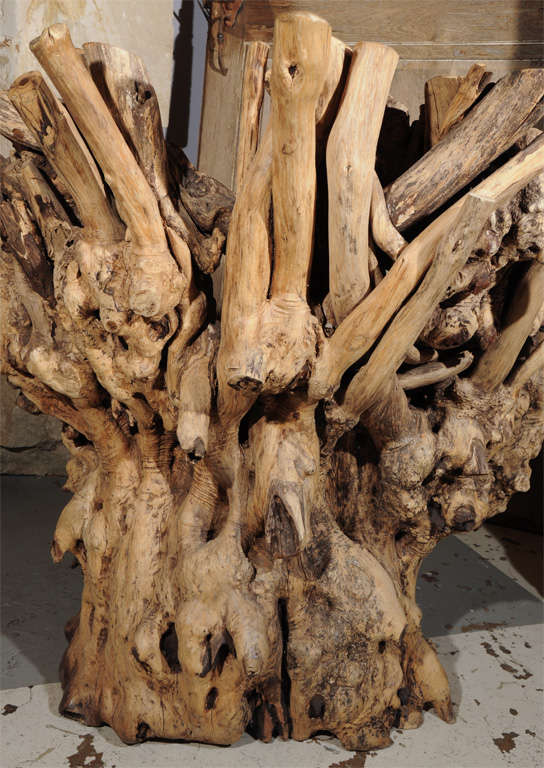 Root Chair at 1stDibs