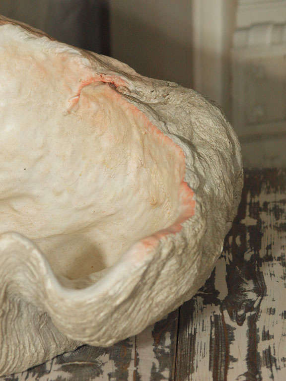 Giant Clam Shell at 1stDibs | large clam shell, life size clam shell ...