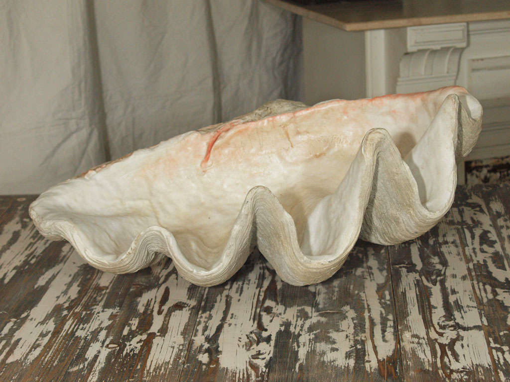 Giant Clam Shell at 1stDibs | large clam shell, life size clam shell ...