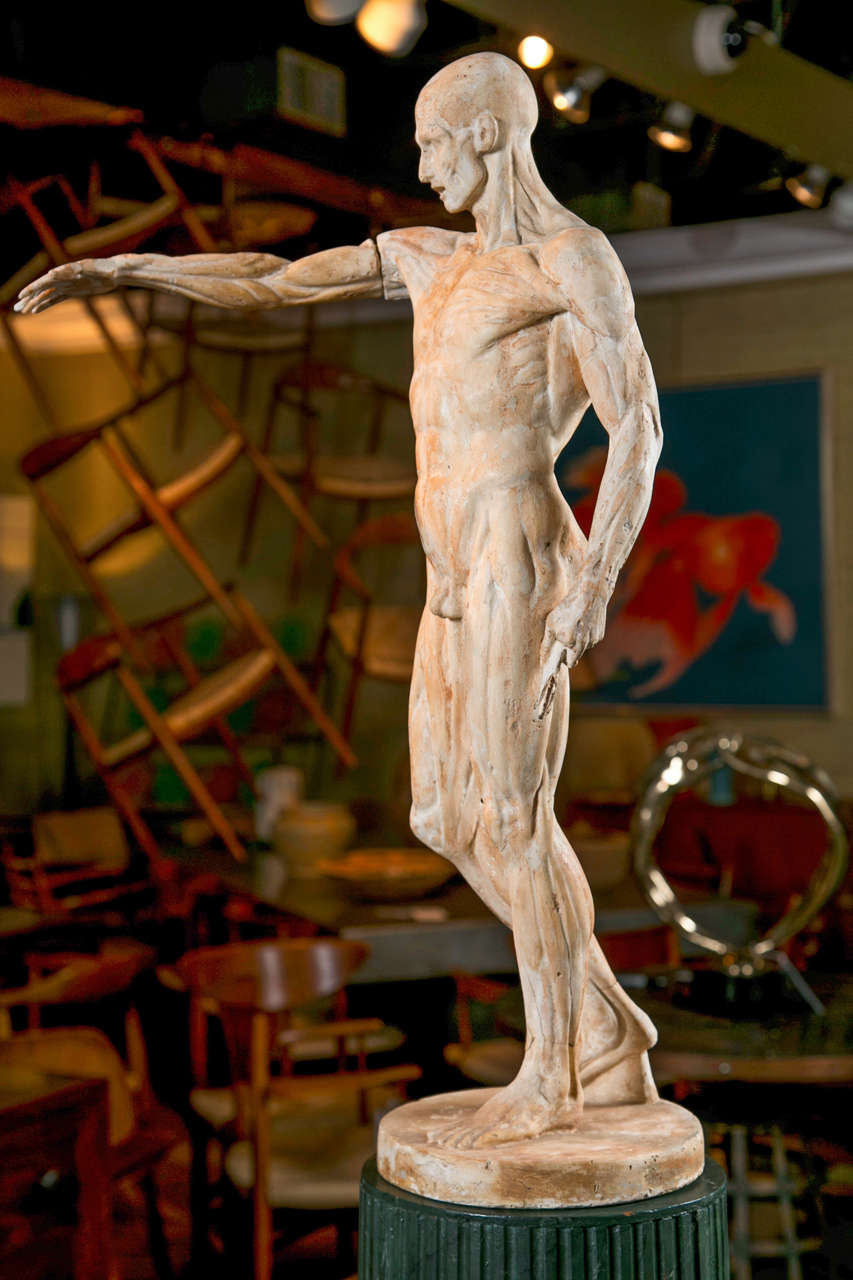 Artist's Model Plaster Figure at 1stDibs