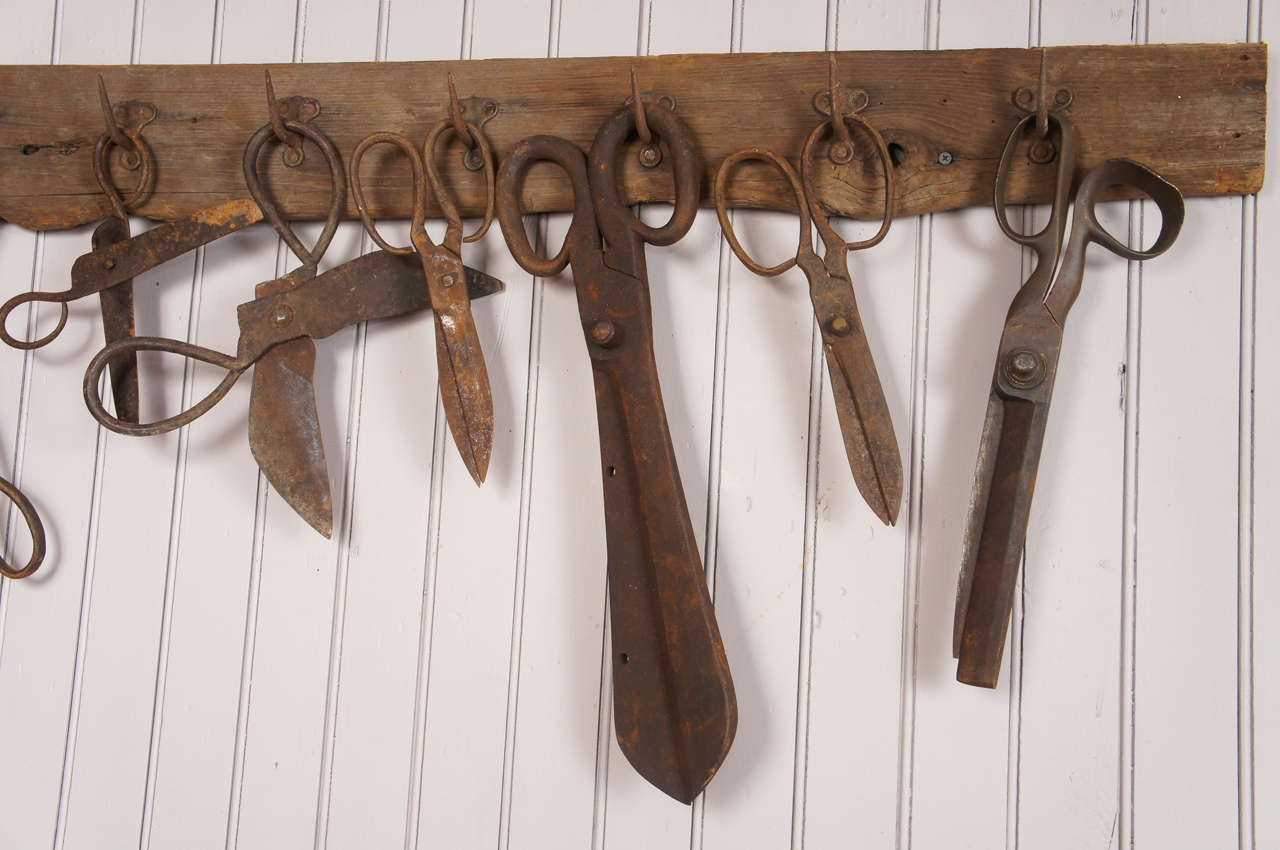 Scissors Collection at 1stDibs