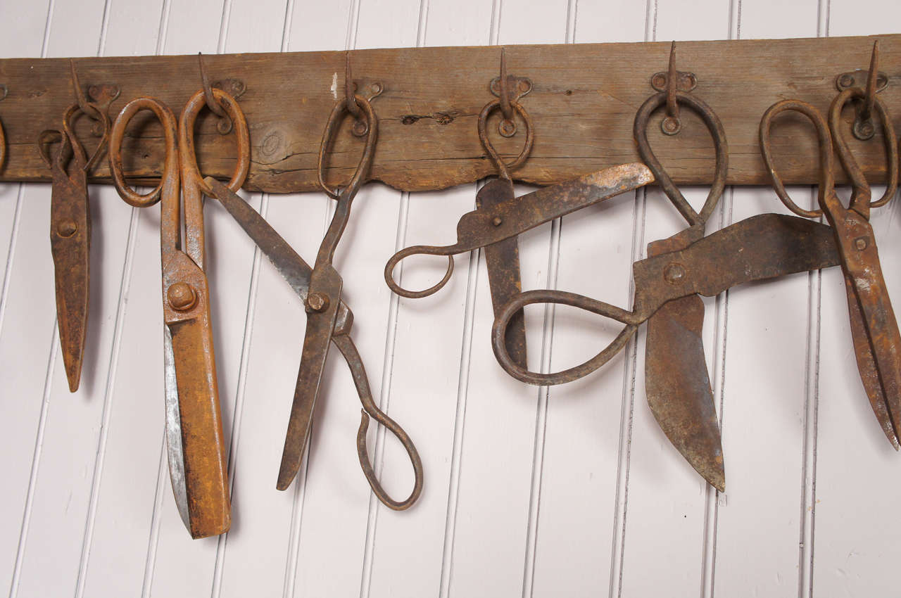 Scissors Collection at 1stDibs