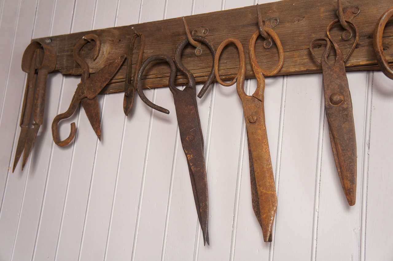 Scissors Collection at 1stDibs