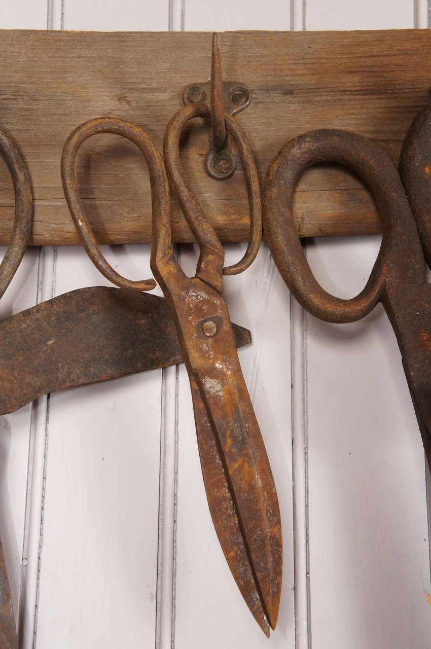 Scissors Collection at 1stDibs