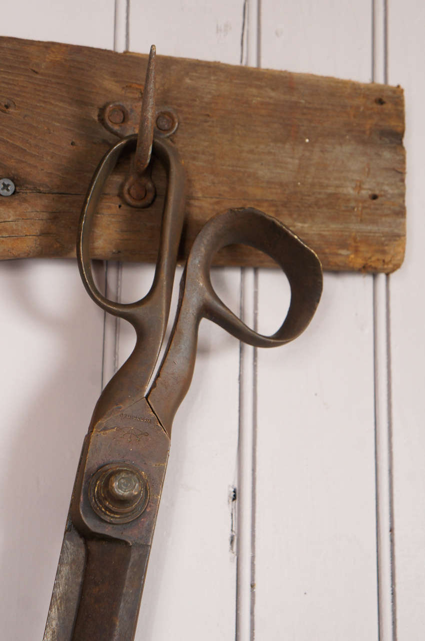 Scissors Collection at 1stDibs