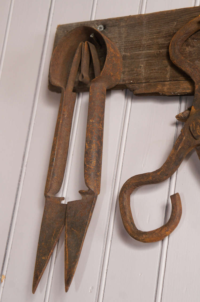 Scissors Collection at 1stDibs