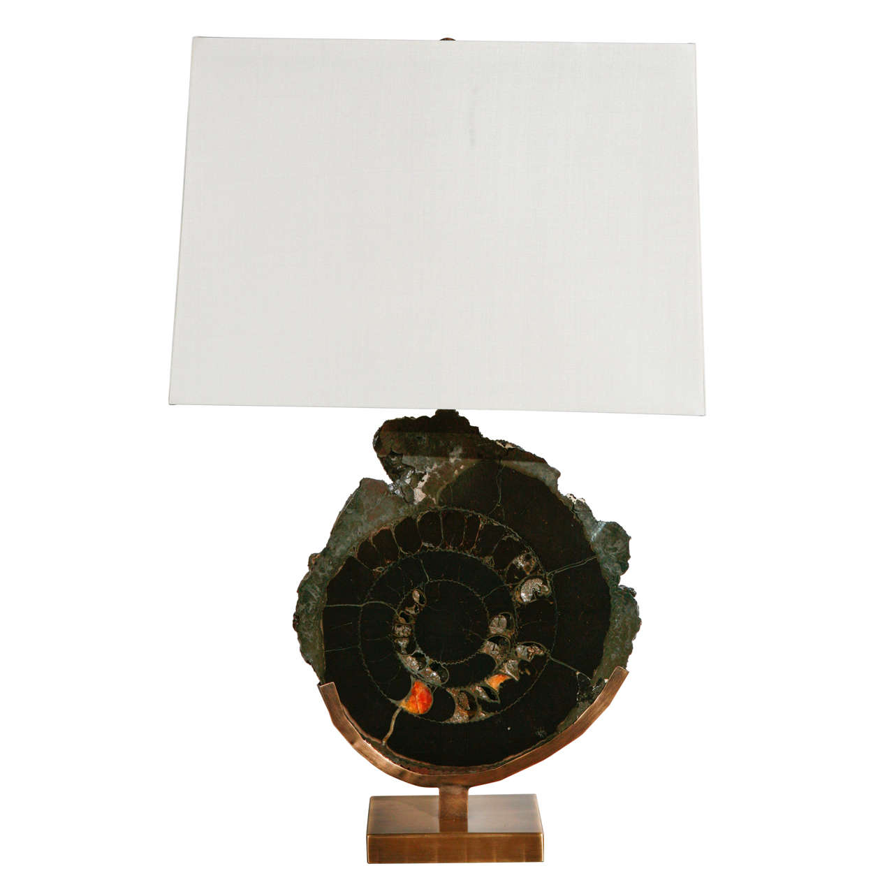 Pair of Ammonite Table Lamps at 1stDibs