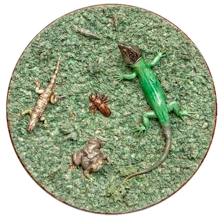 19th Century Palissy Style Plate For Sale at 1stDibs