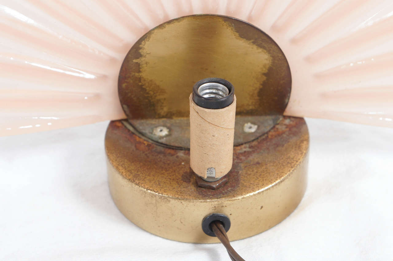 pair of Pink Murano glass clam shell lamps at 1stDibs | pink clam shells