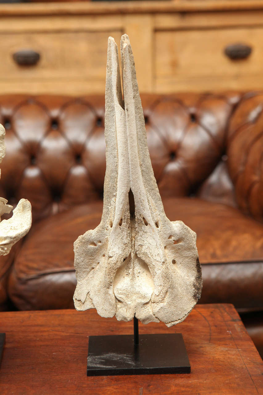 Set of Three Bone Sculptures, circa 1880 For Sale at 1stDibs