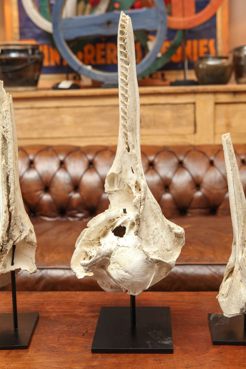Set of Three Bone Sculptures, circa 1880 For Sale at 1stDibs