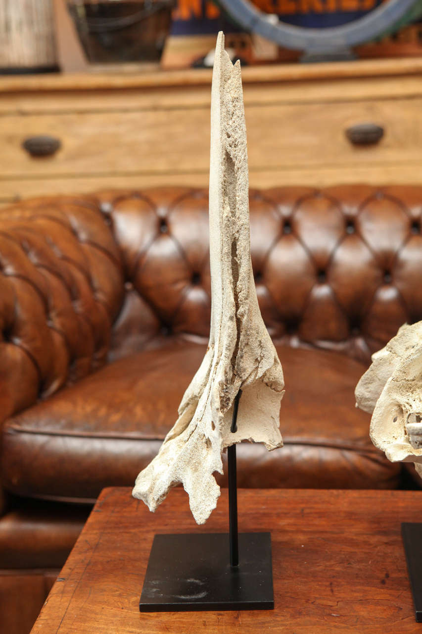 Set of Three Bone Sculptures, circa 1880 For Sale at 1stDibs