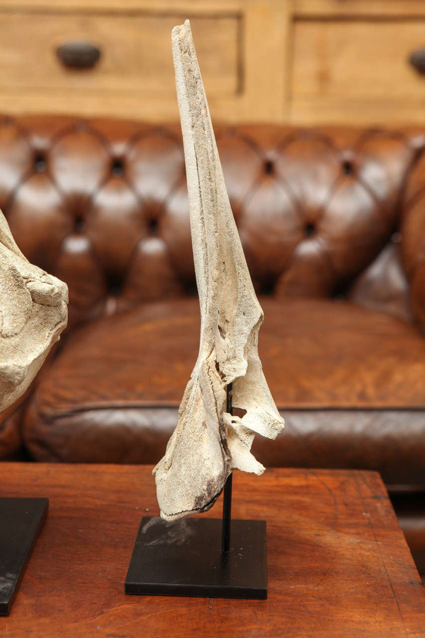 Set of Three Bone Sculptures, circa 1880 For Sale at 1stDibs
