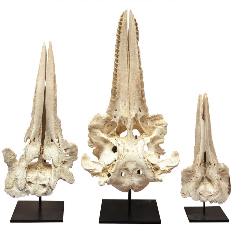Set of Three Bone Sculptures, circa 1880 For Sale at 1stDibs