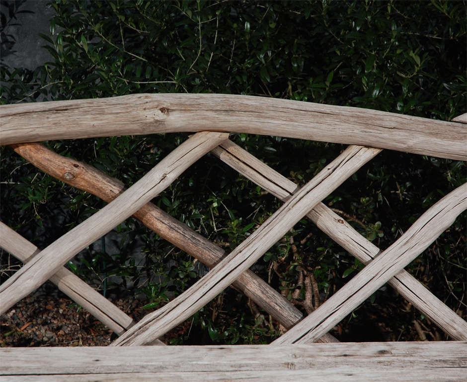 English Tree Limb Bench, Circa 1890 at 1stDibs