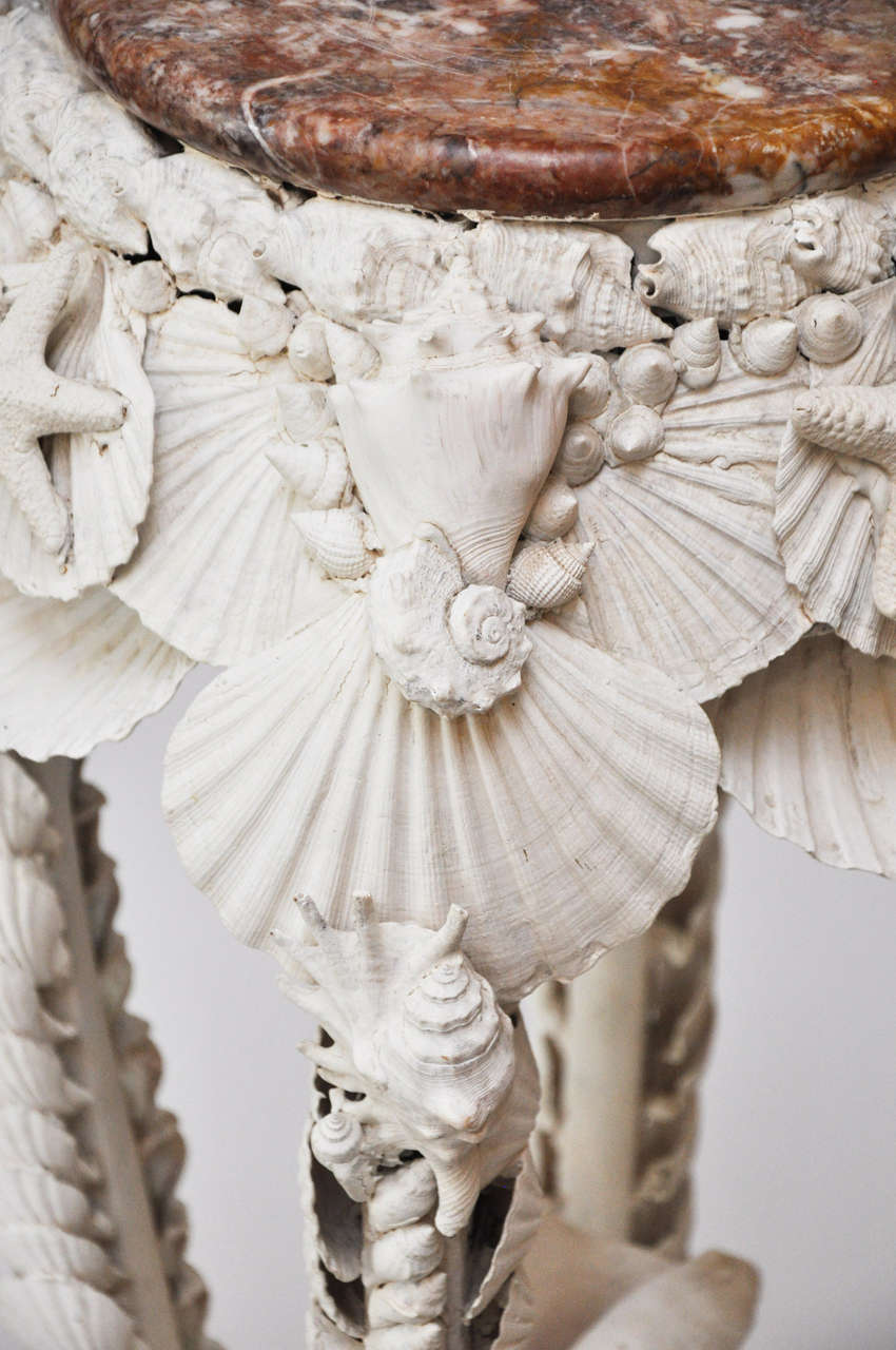 Shell Plant Stand at 1stDibs