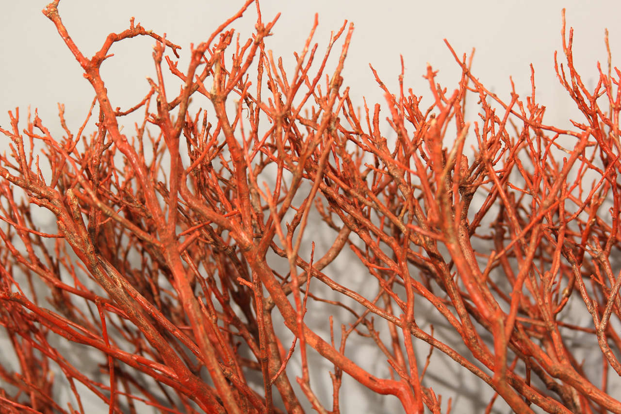 Wood "coral" Wall Sculpture at 1stDibs | coral wall sculpture