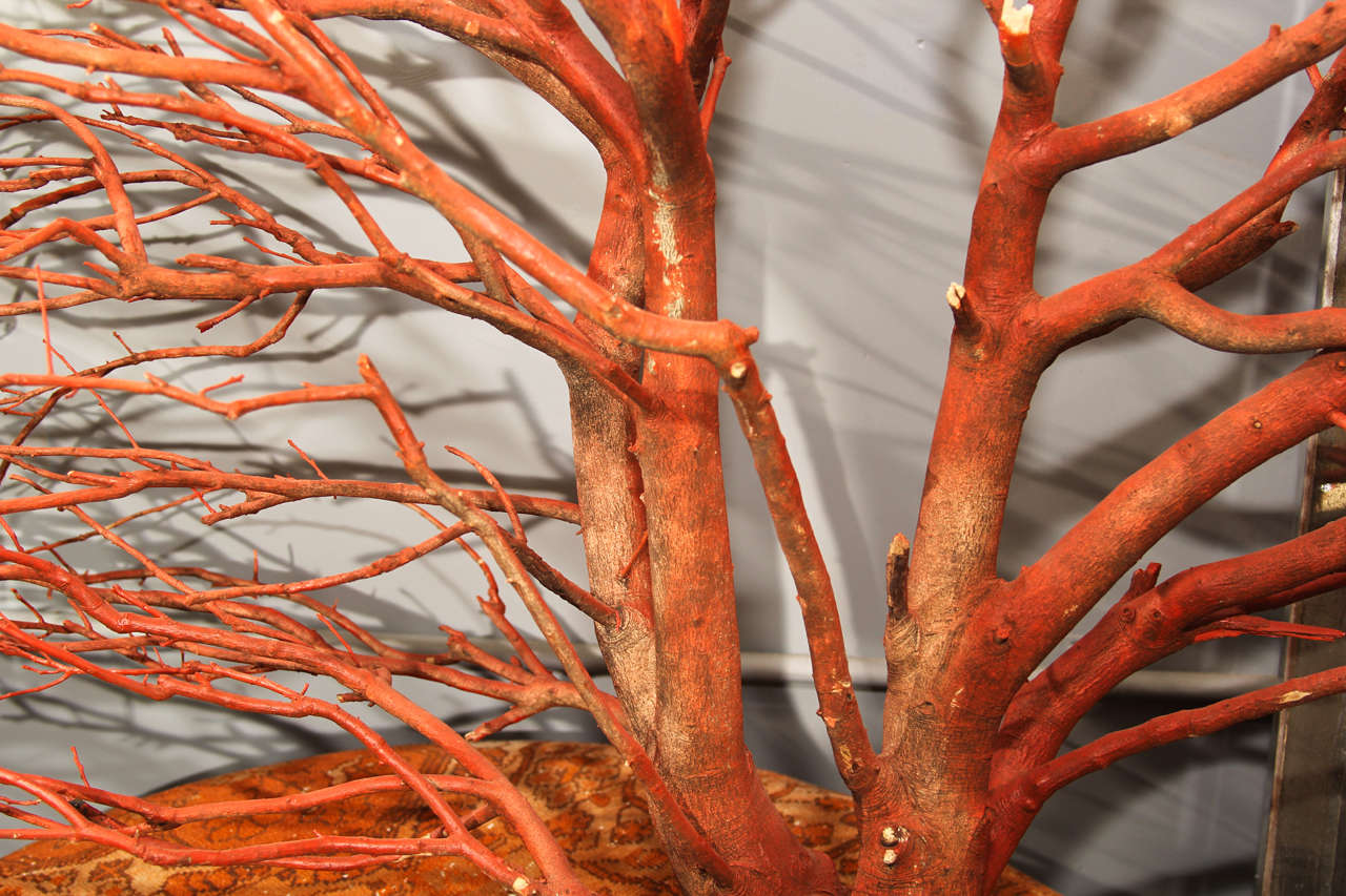Wood "coral" Wall Sculpture at 1stDibs | coral wall sculpture