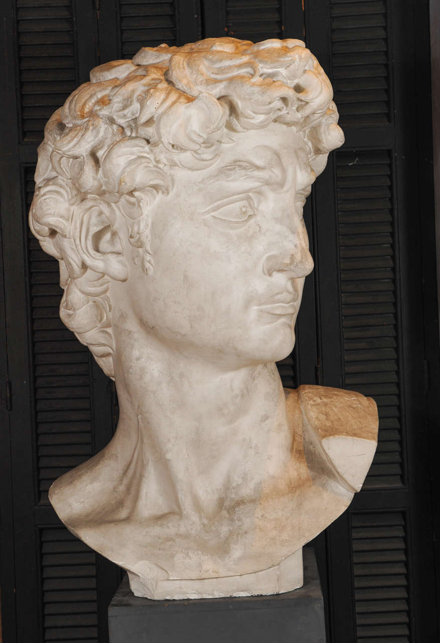 A large plaster buste of David after the model by Michelangelo, 1920's ...