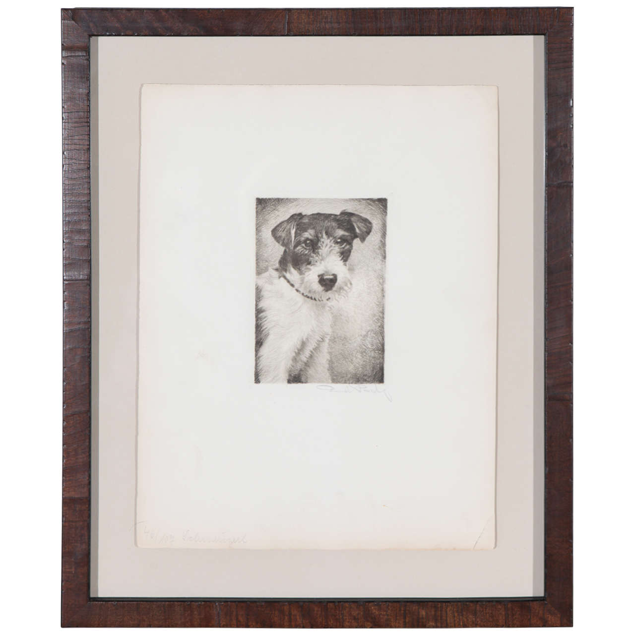 Framed Etching of Dog, Terrier at 1stDibs