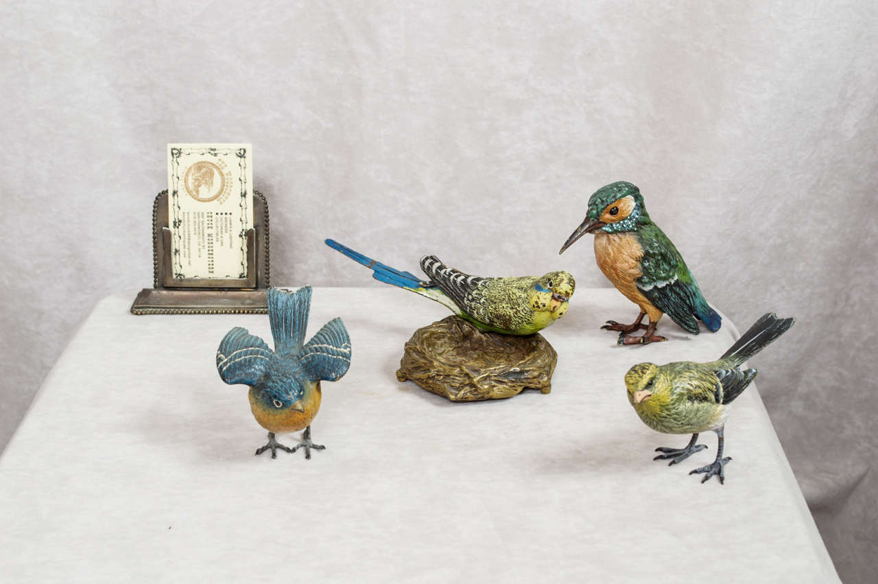 Beautiful Collection of Vienna Bronze Cold-Painted Birds at 1stDibs