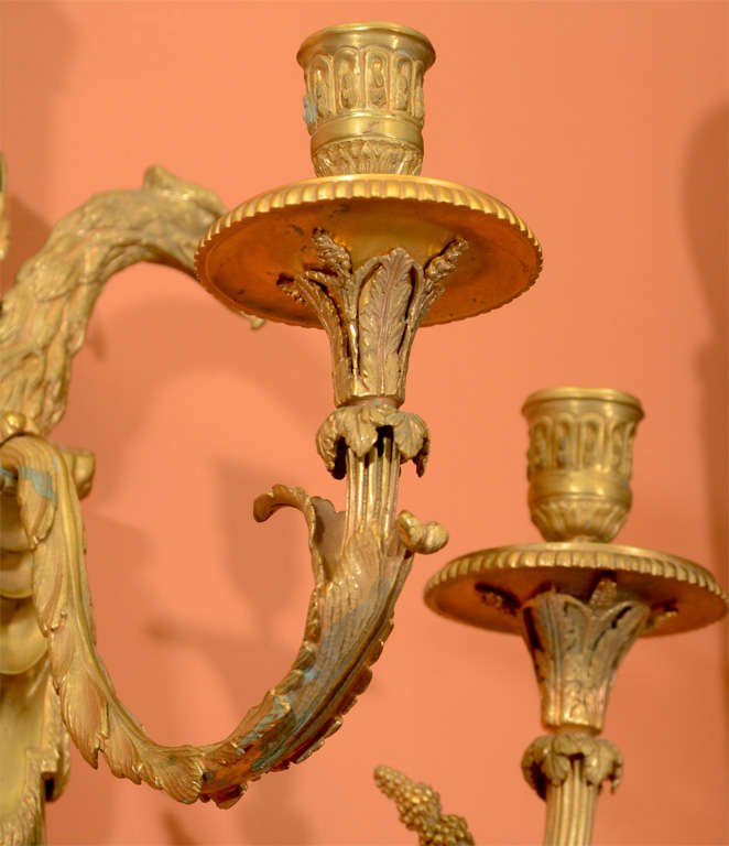 Set of Louis XVI Bronze Wall Lights For Sale at 1stDibs