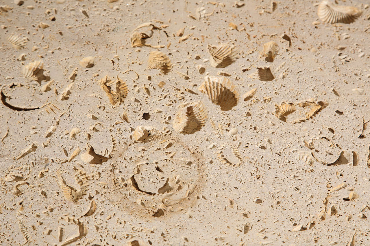 Fabulous Fossil Stone Console at 1stDibs | fossil stone console table