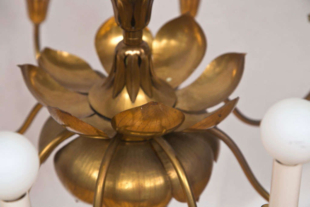 Unusual Eight Arm Lotus Chandelier For Sale at 1stDibs