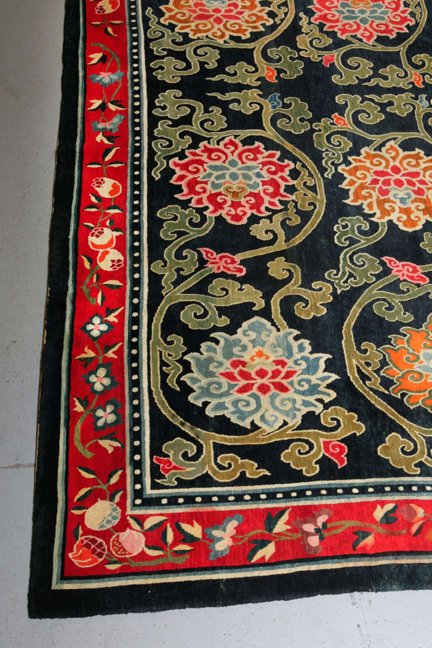 Unusual Tibet carpet For Sale at 1stDibs