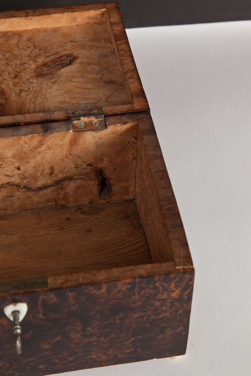 Charming Alder Root Box At 1stdibs charming-alder-root-box-at-1stdibs