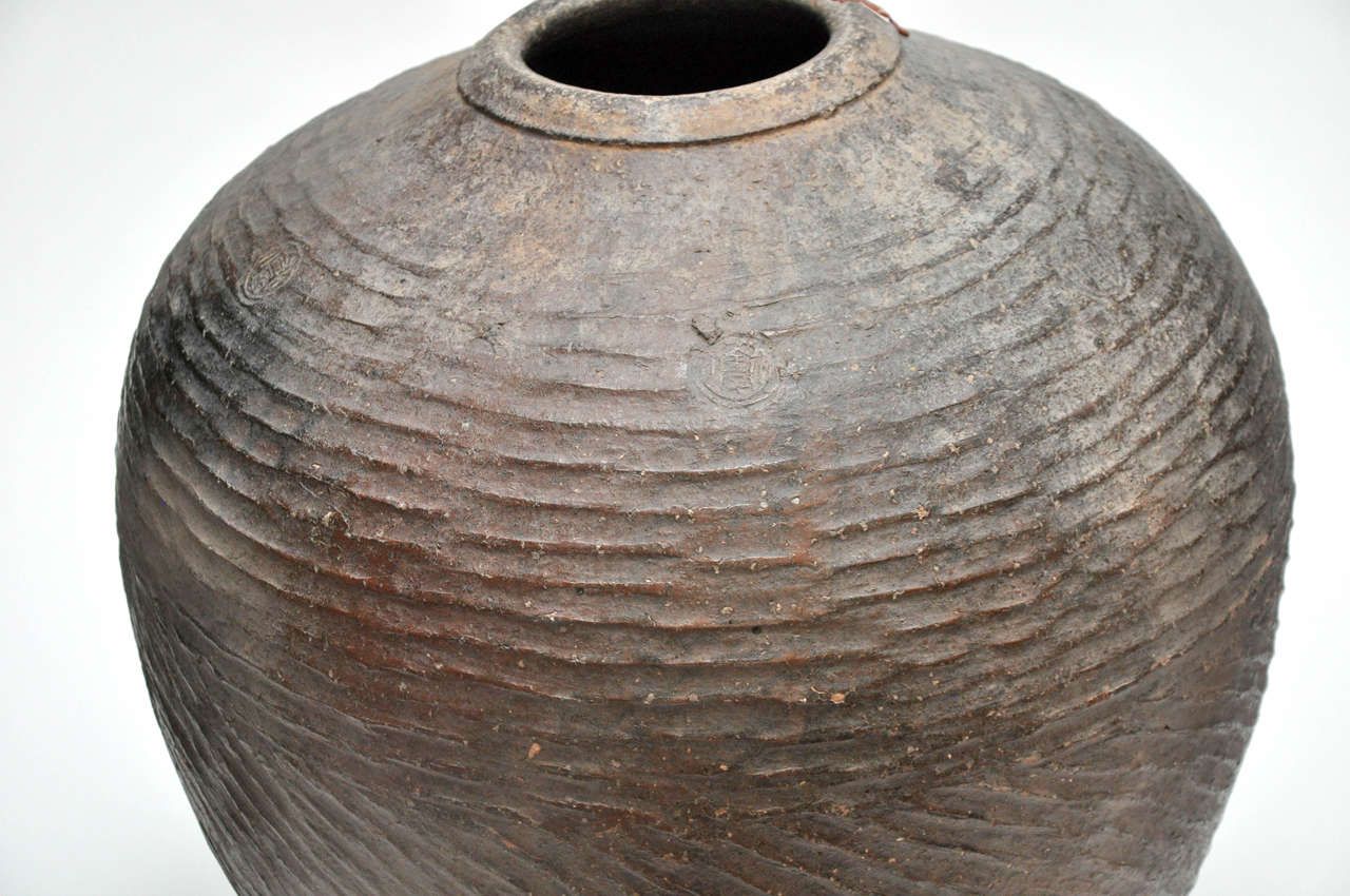 Early 19th Century Large Tea Storage Jar from the Henan Provence at 1stDibs