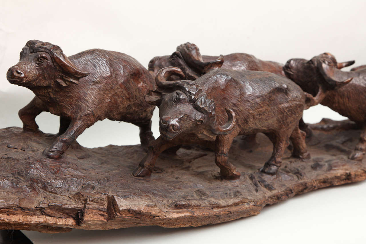 Cape Buffalo Stampede Sculpture at 1stDibs | cape buffalo sculpture ...