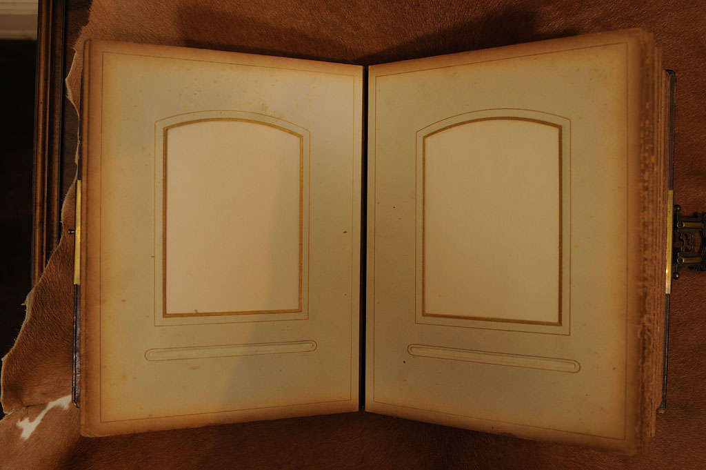 Embossed Leather and Brass Photo Album For Sale at 1stDibs
